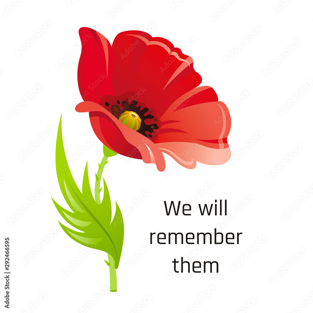 Symbol Of Remembrance Flowers | Best Flower Site