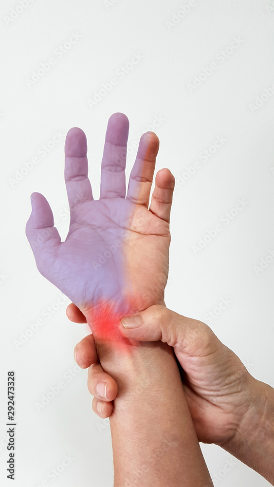 Hand anatomy. The patient suffer from symptom wrist pain (red highlight ...