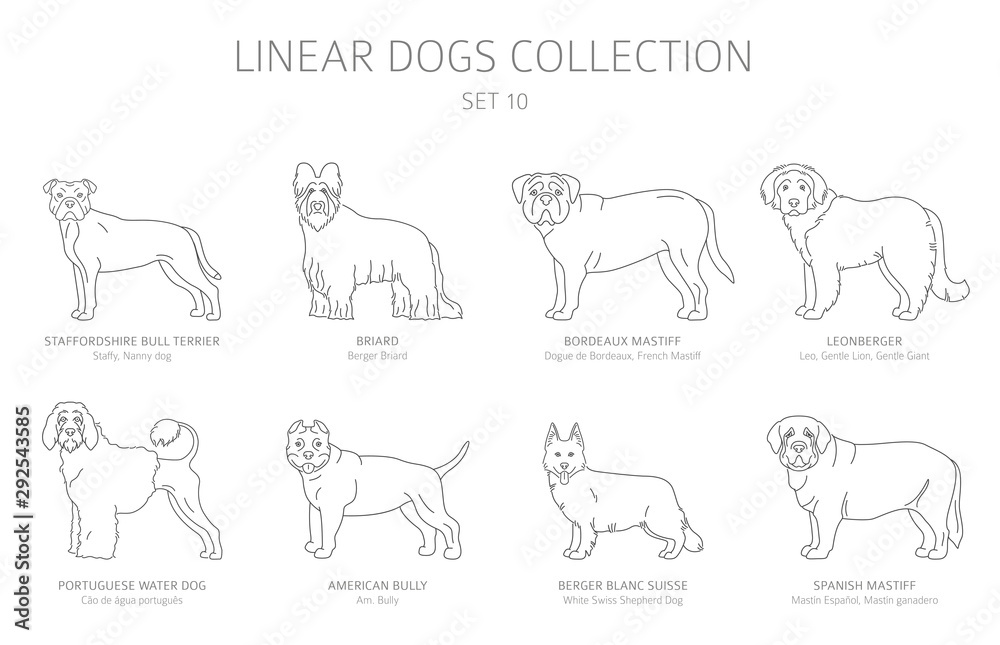 Simple line dogs collection isolated on white. Dog breeds. Flat style ...