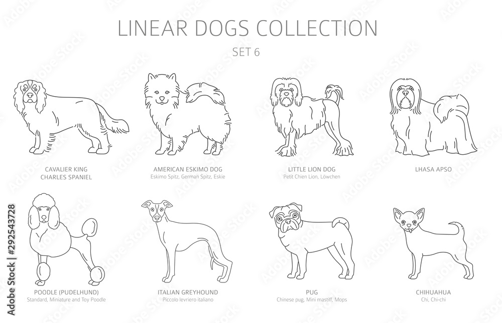 Simple line dogs collection isolated on white. Dog breeds. Flat style ...