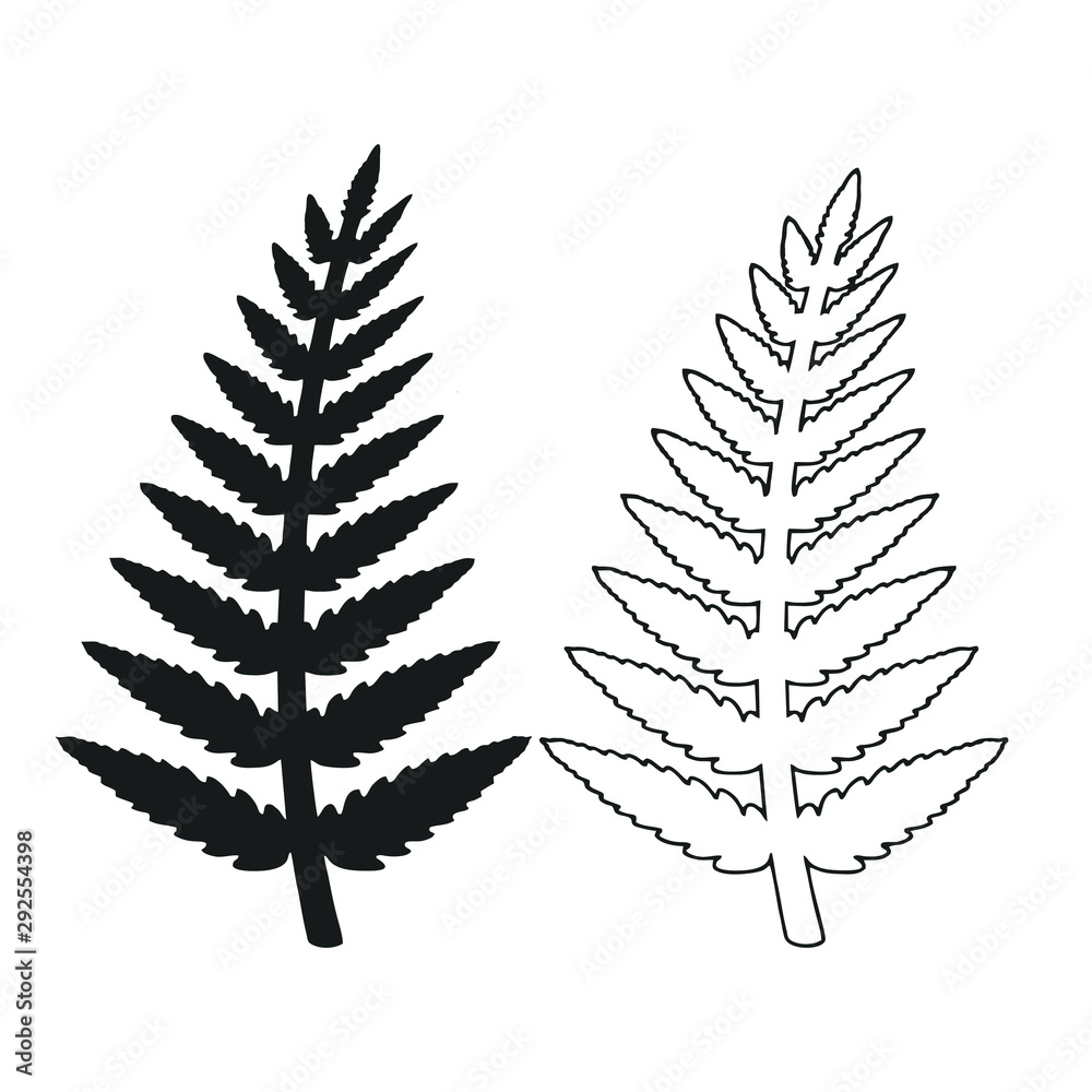 Fern Clipart Black And White
