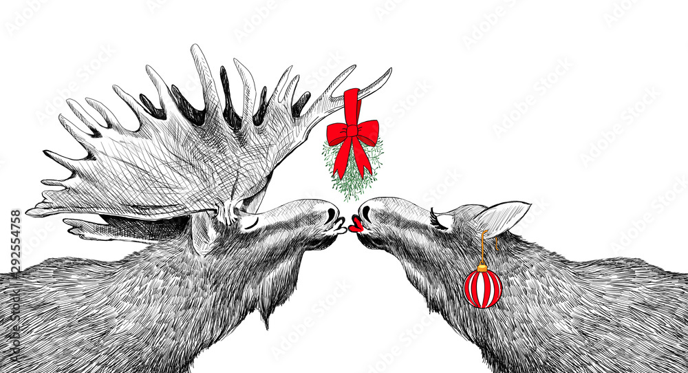 Mistletoe Kiss Drawing