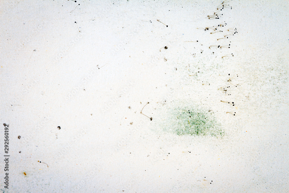 Old moldy paper with dirty stains and spots Stock Photo | Adobe Stock