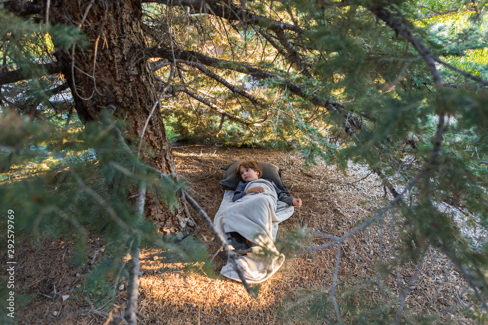 6 year old boy lying down on pine needles under large pine tree. Stock ...