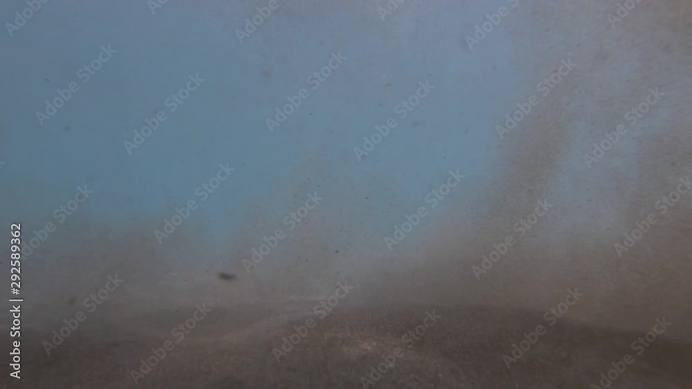 Underwater fine sand particles floating in ocean water Stock Video ...