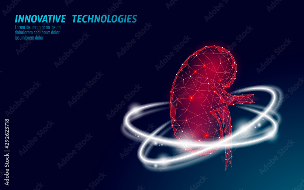 Healthy kidney internal organ 3d low poly geometric model. Urology ...