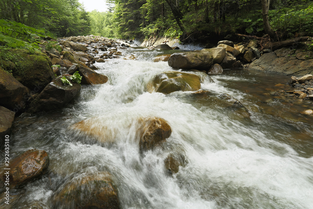 beautiful mountain small river with a strong current in a narrow canyon ...