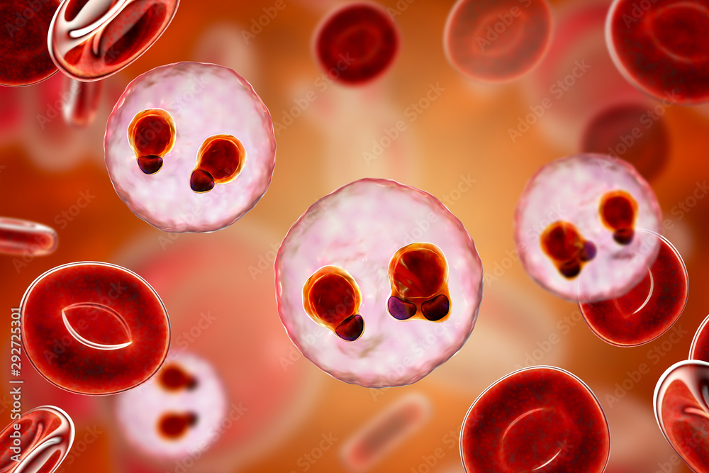 The malaria-infected red blood cells. 3D illustration showing ring-form ...