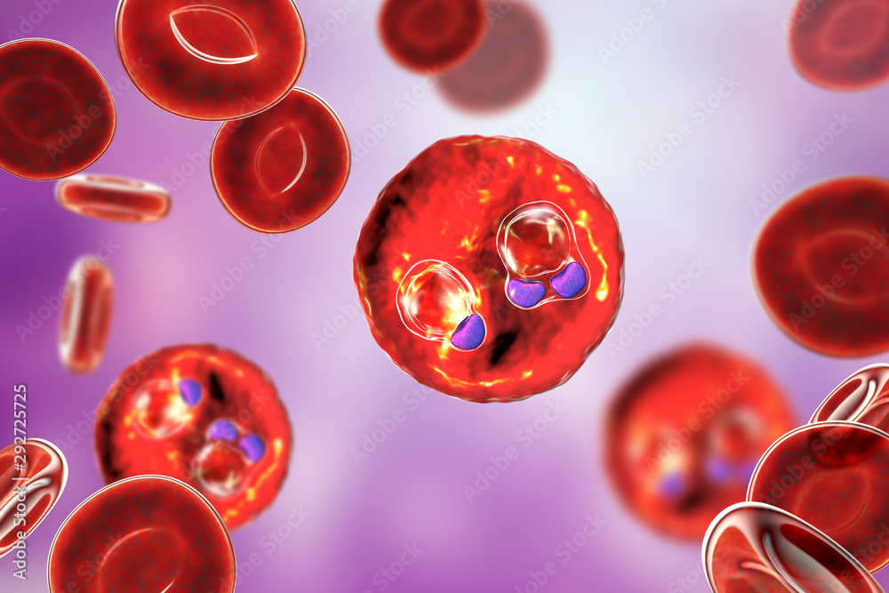 The malaria-infected red blood cells. 3D illustration showing ring-form ...