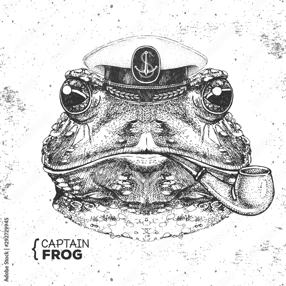 Hipster animal frog captain's cap and smoking pipe. Hand drawing Muzzle ...