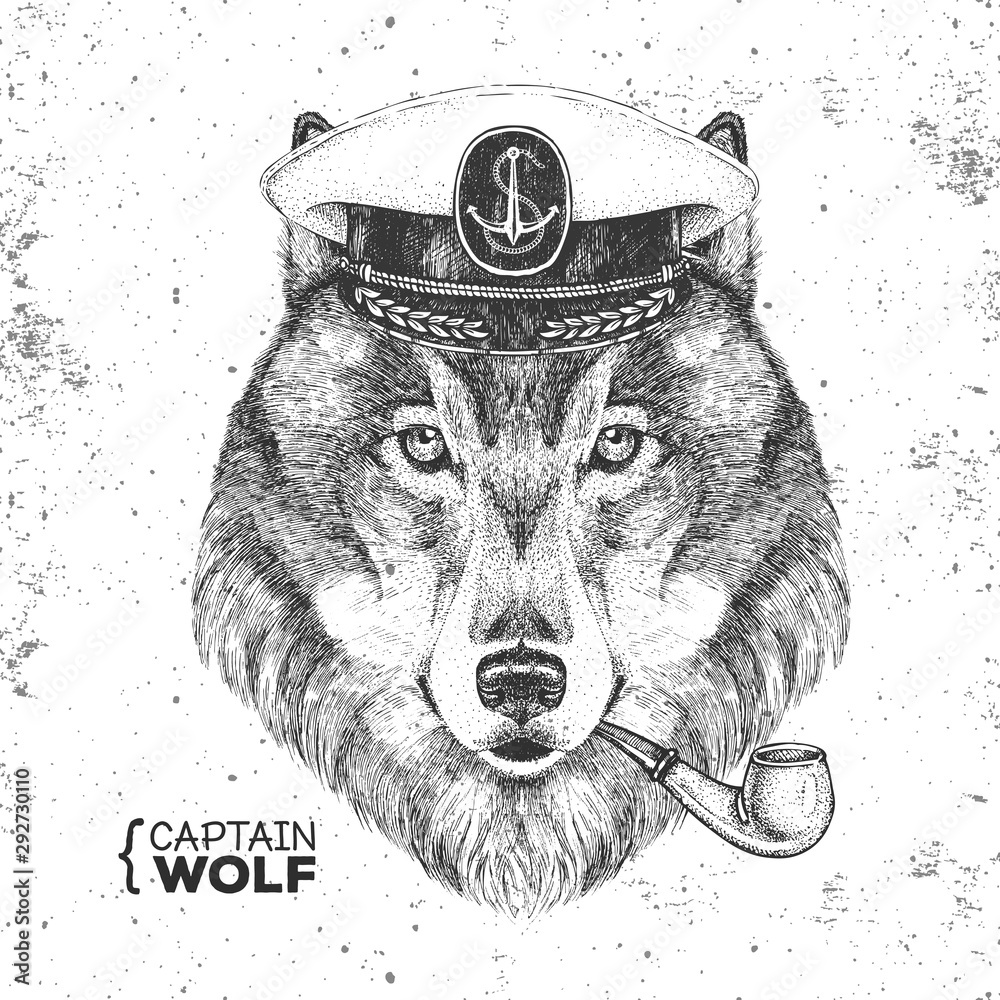 Hipster animal wolf captain's cap and smoking pipe. Hand drawing Muzzle ...