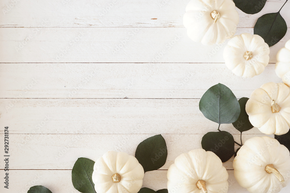 Autumn corner border of white pumpkins and green eucalyptus leaves ...