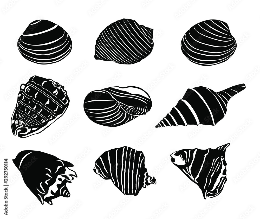 Sea shells silhouettes different types, vector, black color, isolated ...