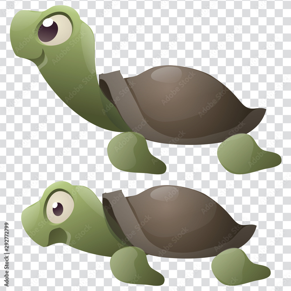 Vector cartoon illustration of a turtle. Stock Vector | Adobe Stock
