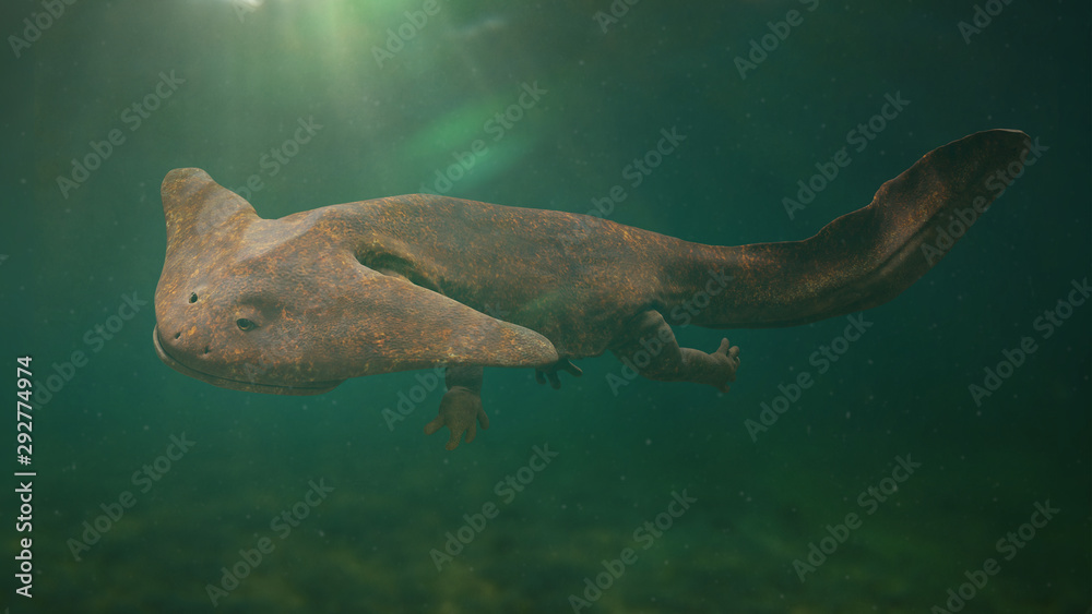 Diplocaulus, extinct amphibian from the Late Carboniferous to Permian ...