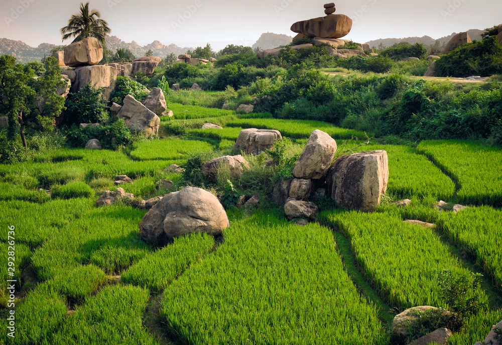 Rice fields around the rocky landscape of Hampi, Karnataka, India Stock ...