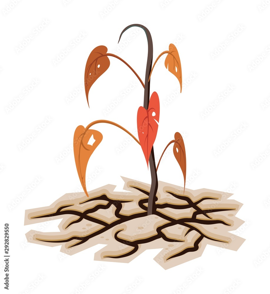 vector dying plant or tree among dry cracked land Stock Vector | Adobe ...