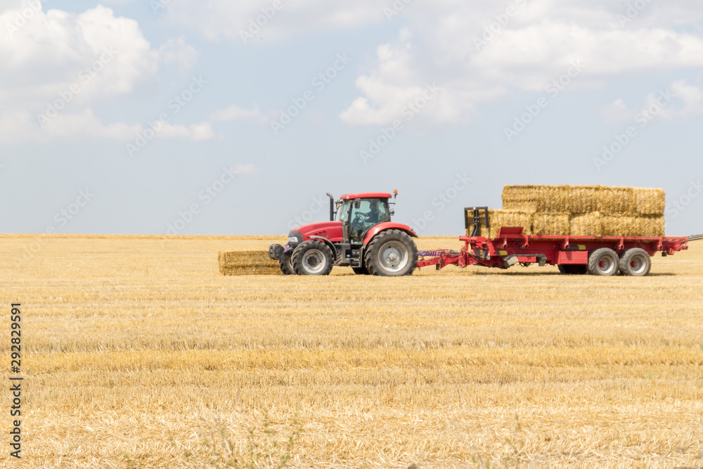 Tractor collecting straw bales during harvesting in the field at nice ...