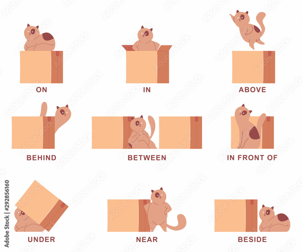 Preposition of place illustration with cute cat and box. Vector cartoon ...