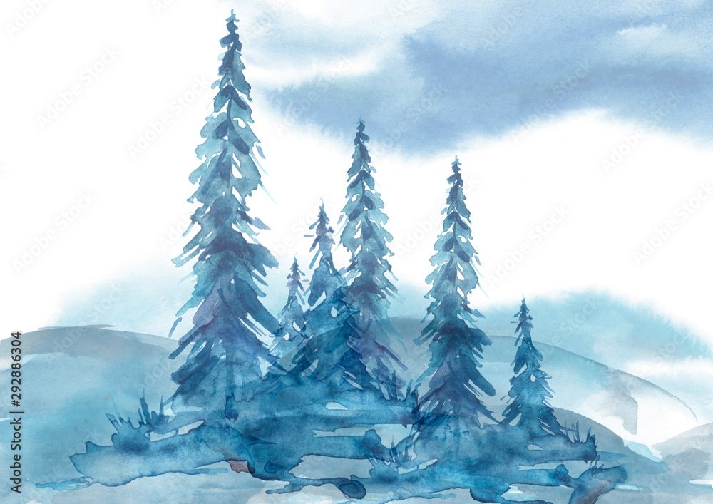 Watercolor trees, forest, pine, cedar blue spruce, landscape. The ...