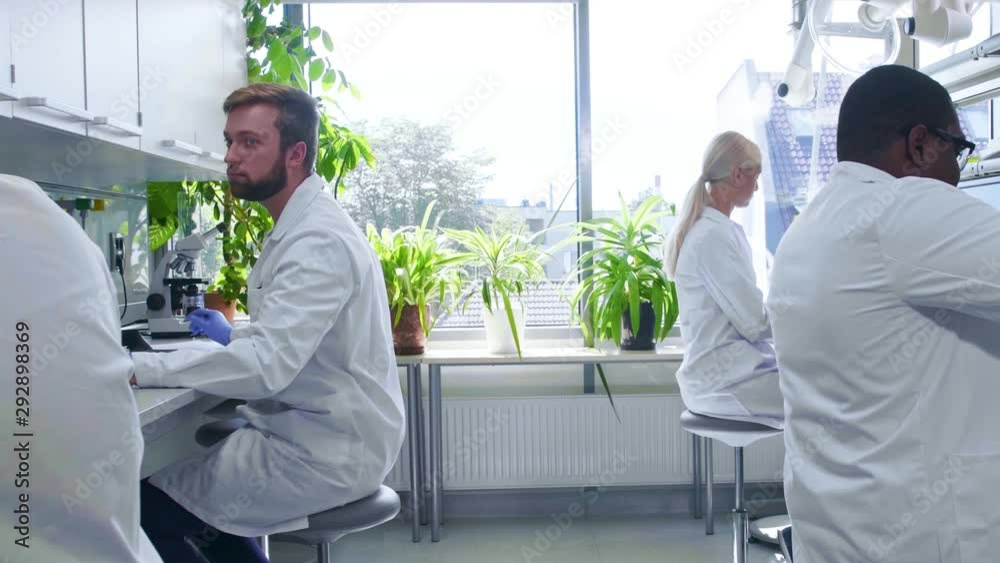 Scientist working in lab. Doctors making medical research. Laboratory ...