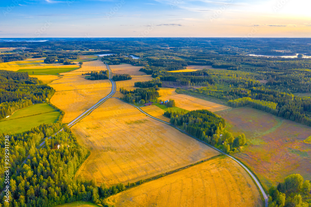 Top aerial panoramic view of green fields and meadows in summer ...