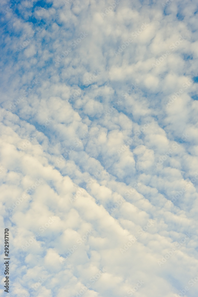 Fototapeta 3D white feather clouds in the blue sky, heaven background | Fototapety