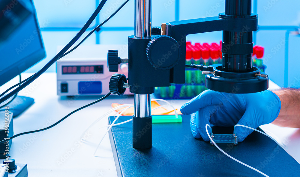 Design development Lab On Chip device in microfluidic lab Stock Photo ...
