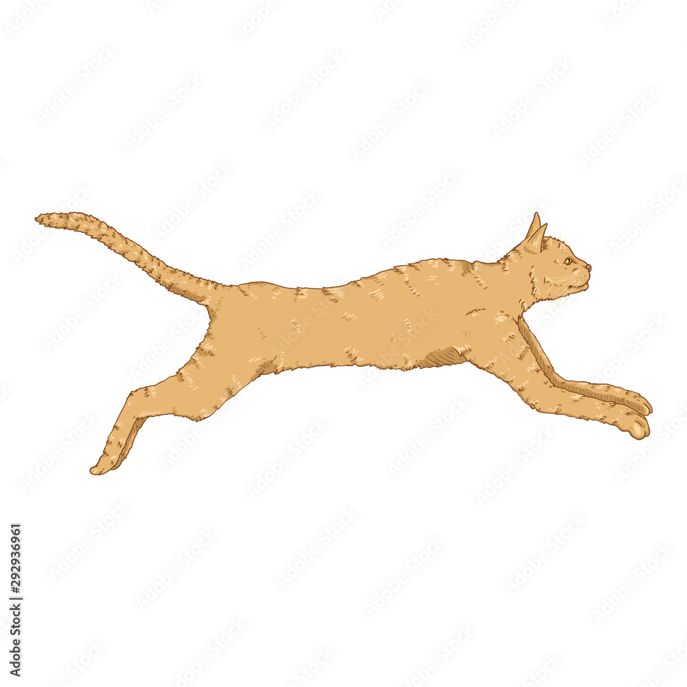 Running Cat. Vector Cartoon Feline Illustration Stock Vector | Adobe Stock
