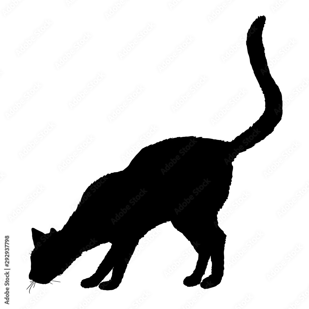 Sniffing Cat SIlhouette. Vector Black Feline Logo. Stock Vector | Adobe ...
