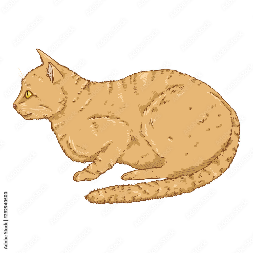 Lying Cat. Vector Cartoon Feline Illustration Stock Vector | Adobe Stock