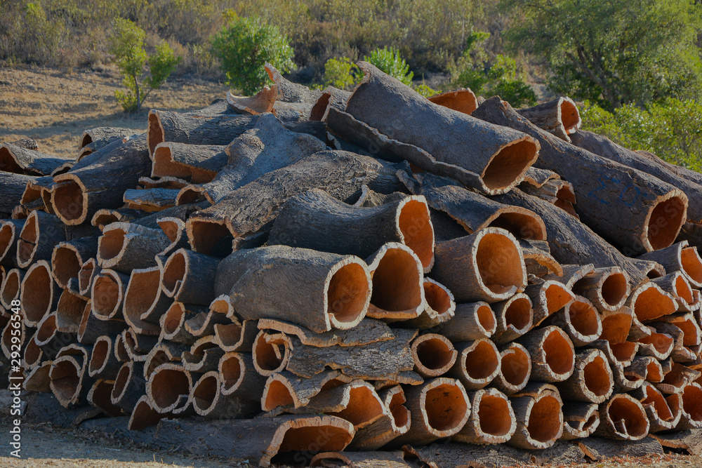 cork, cork tree bark stacked for processing Stock Photo | Adobe Stock