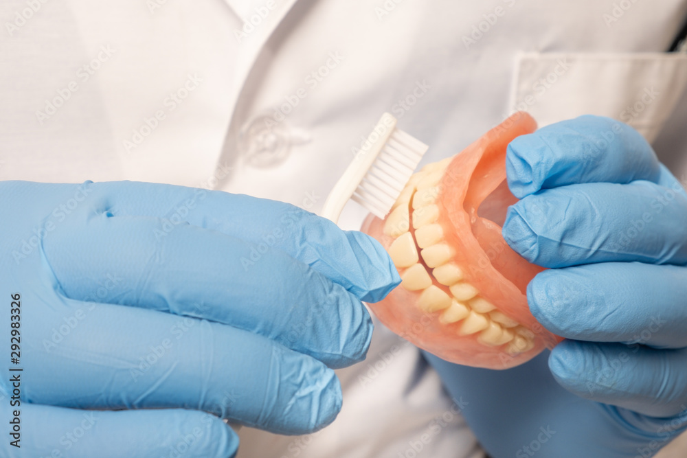 A dentist doctor in a white coat holds a false jaw in his hands. Shows ...