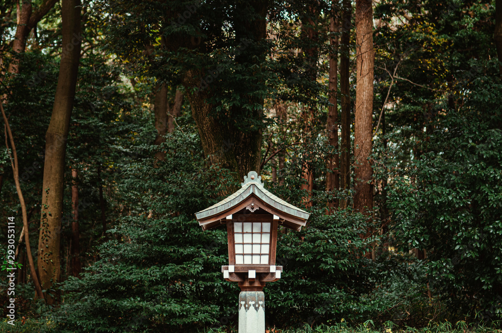 Japanese lamp of Meiji Jingu Shrine under big tree in shrine forest ...