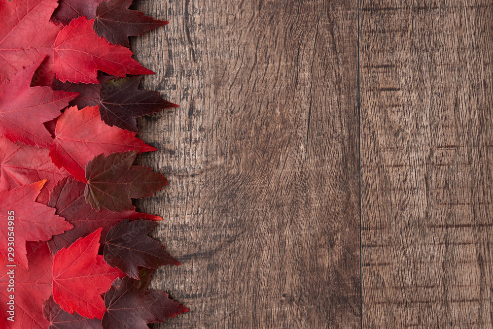 Maple Wood Wallpaper