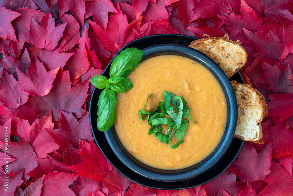 Fall harvest bisque soup of pureed squash and other fall vegetables, in ...