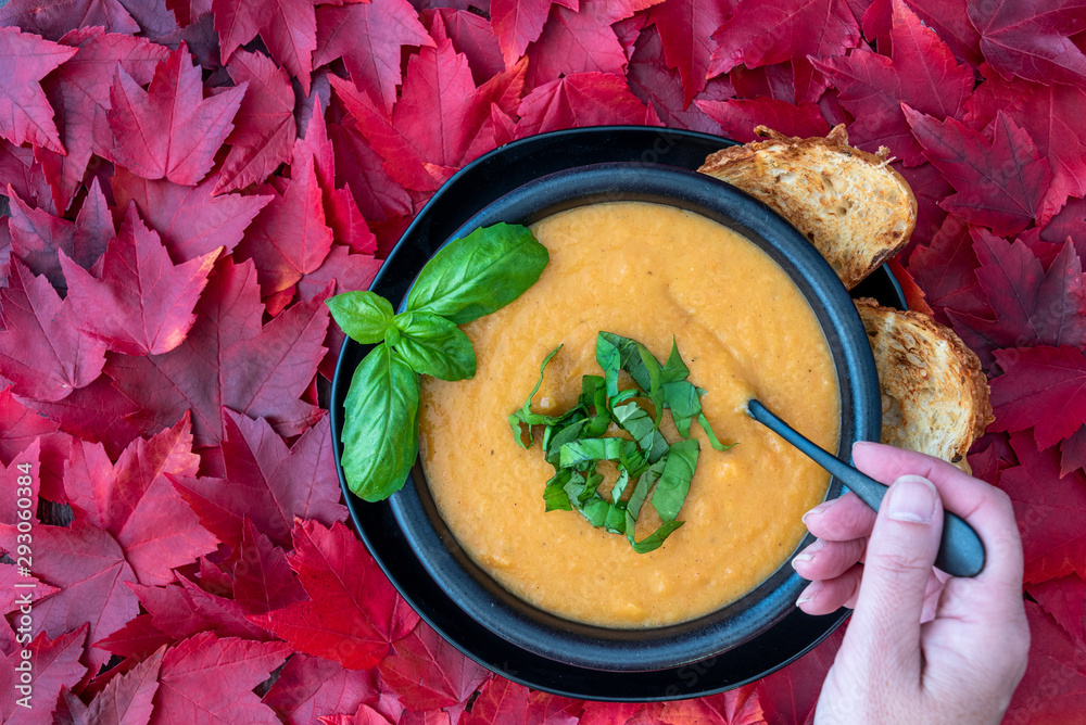 Fall harvest bisque soup of pureed squash and other fall vegetables, in ...