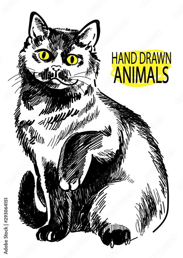 British cat. Cat sits having lifted a paw. Vector freehand drawing ...