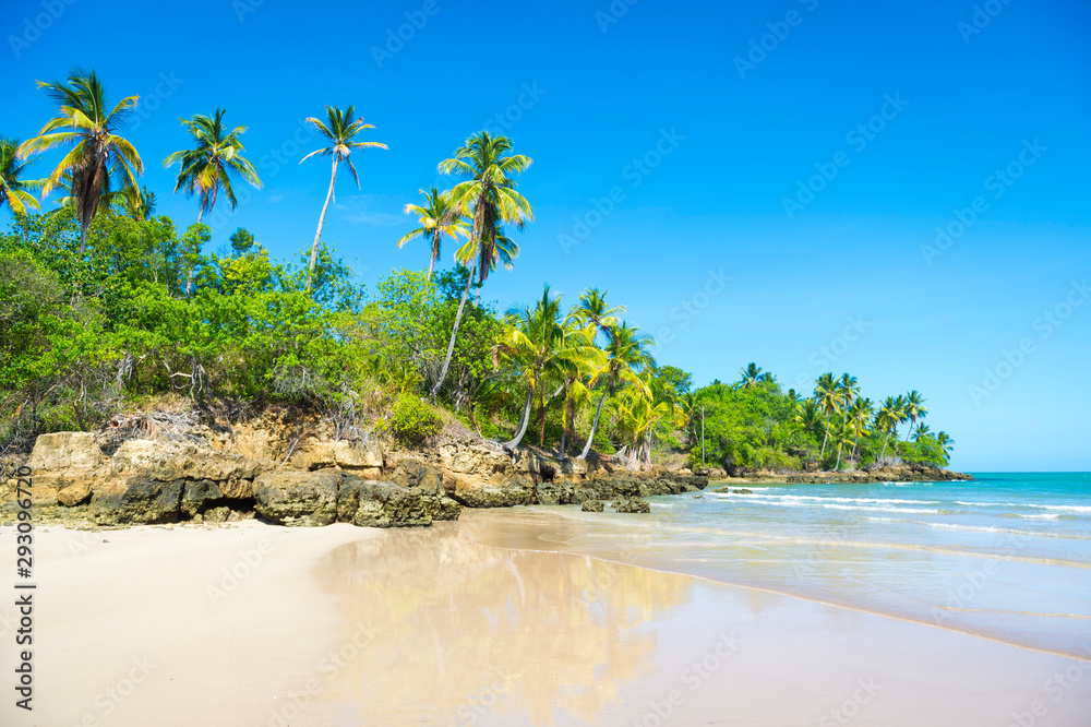 Bright scenic view of palm trees swaying above an empty tropical ...