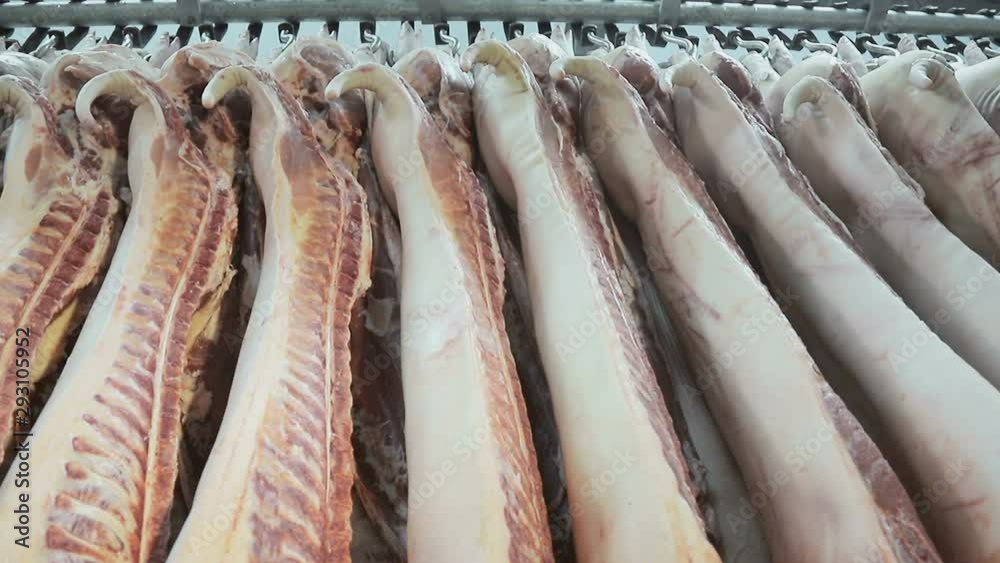 Carcasses of fresh pork hanging on hooks in the refrigerator. Slow ...