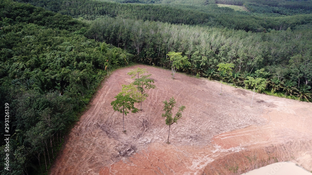 Deforestation. Aerial photo of destroyed forest environment Stock Photo ...