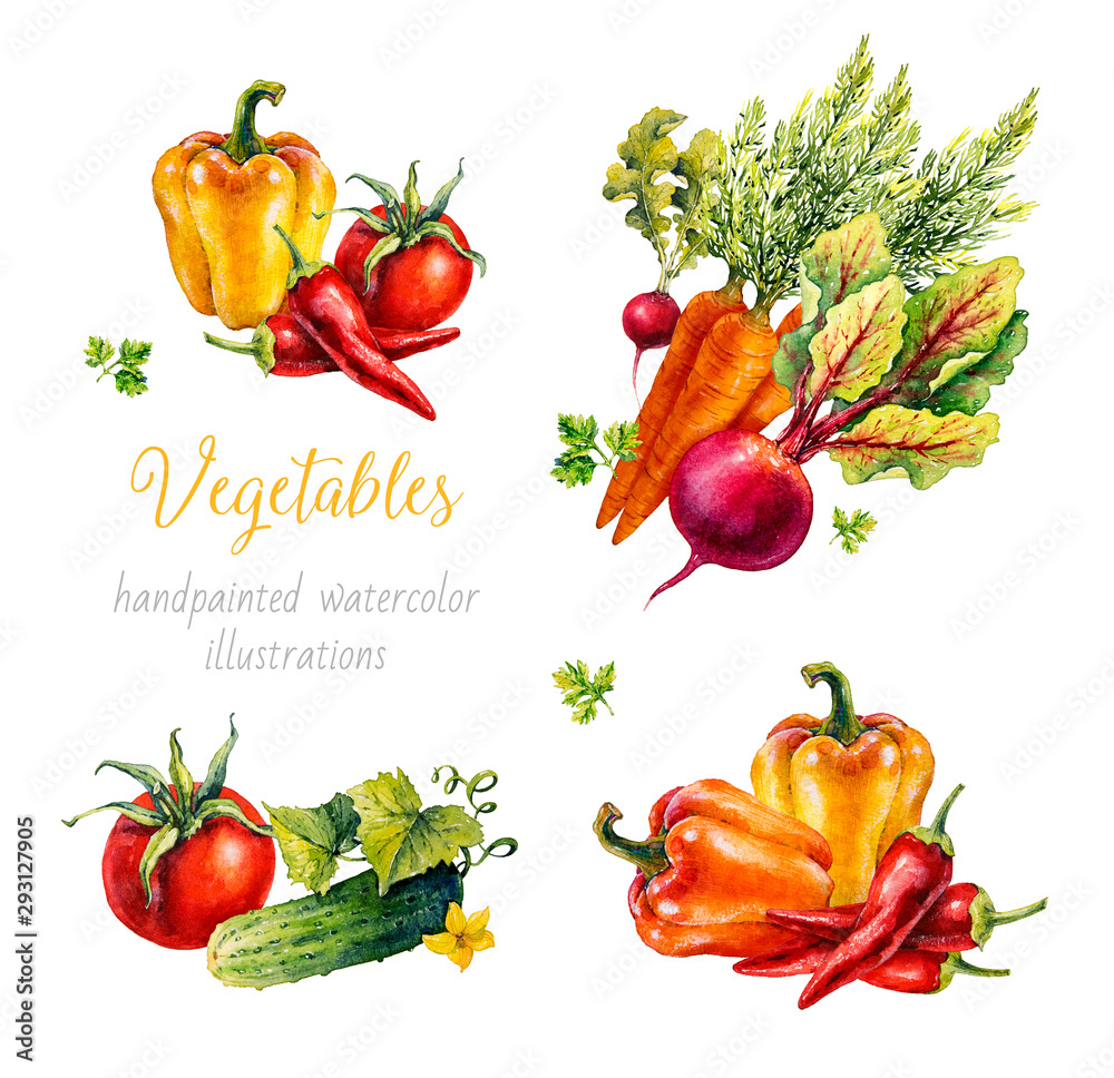 Vegetables. Set of watercolor illustrations Stock Illustration | Adobe ...