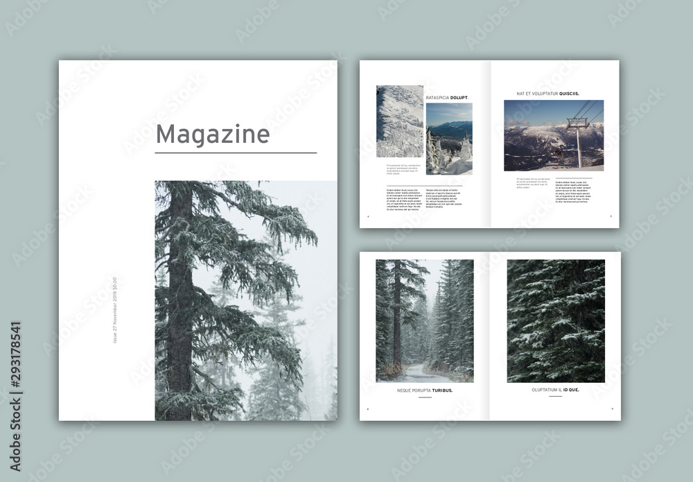 Minimal Magazine Layout Stock Template | Adobe Stock