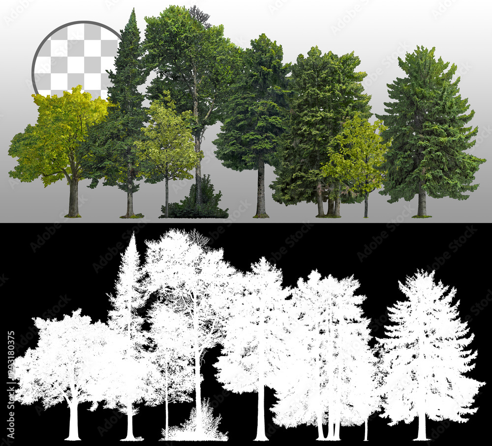 Row of green trees and pines. Tree line isolated on transparent ...
