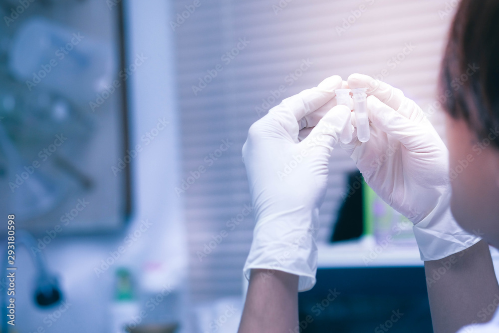 eppendorf tube on pastic rack in laboratory/ Scientific laboratory ...