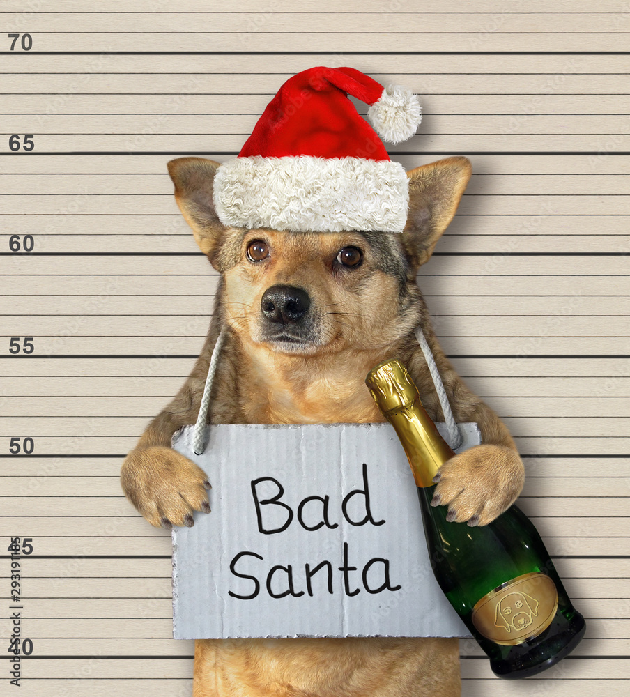 The dog in a red Santa Claus hat with a bottle of champagne was ...