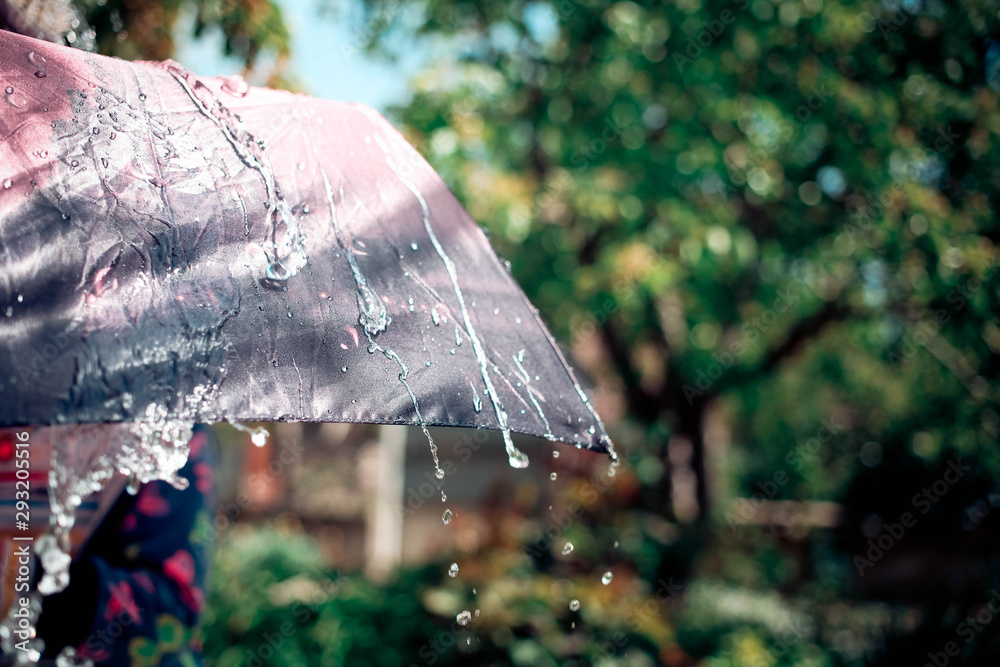 Spring Rain Umbrella