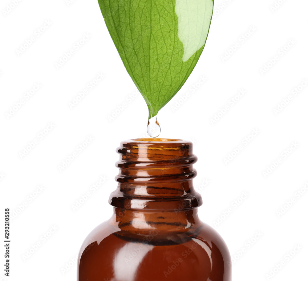Essential oil drop falling from green leaf into glass bottle on white ...