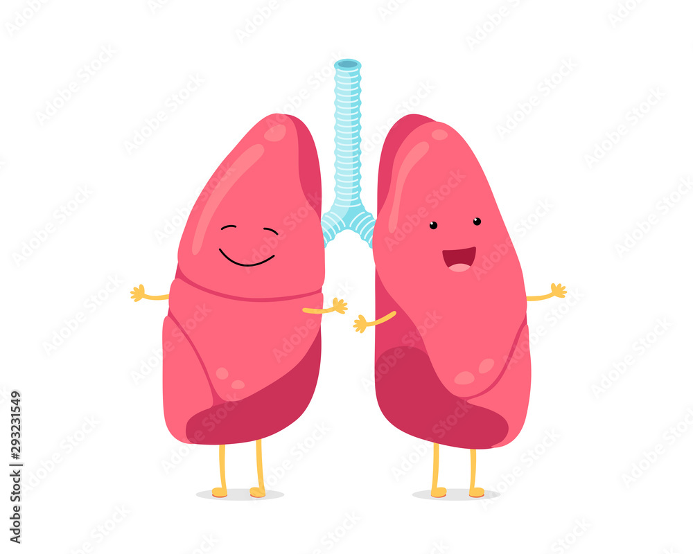 Cute cartoon funny lungs character. Strong smiling lung. Human ...