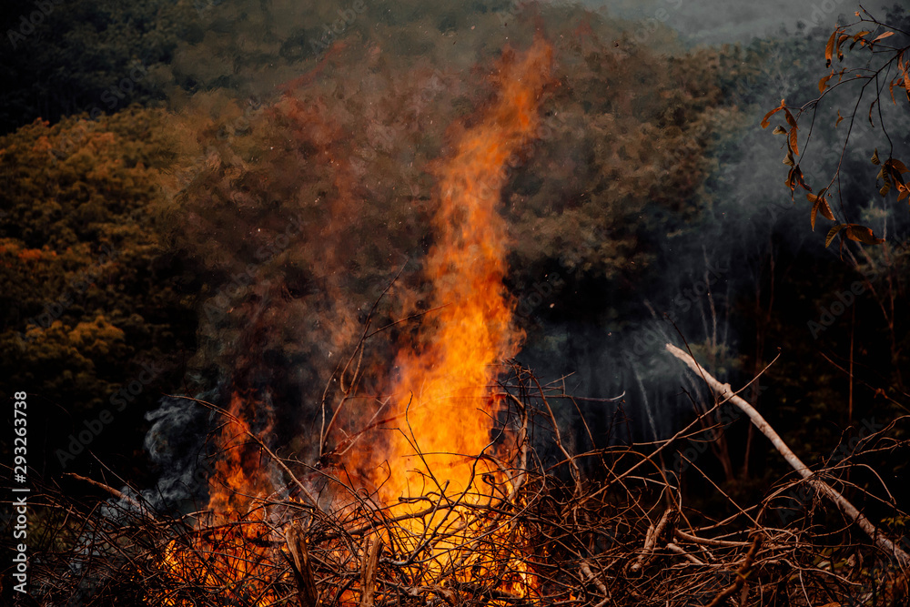 Forest fire. fallen tree is burned to the ground a lot of smoke when ...